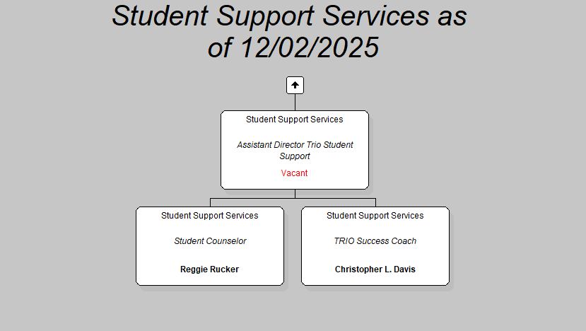 Student Support Services as of 08/03/2025